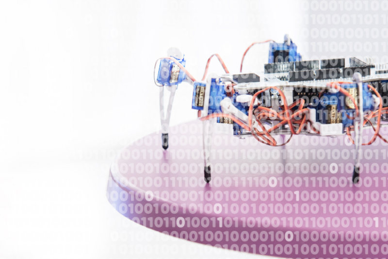 MUSE - Museo delle Scienze - Maker learn Arduino | Ticketlandia