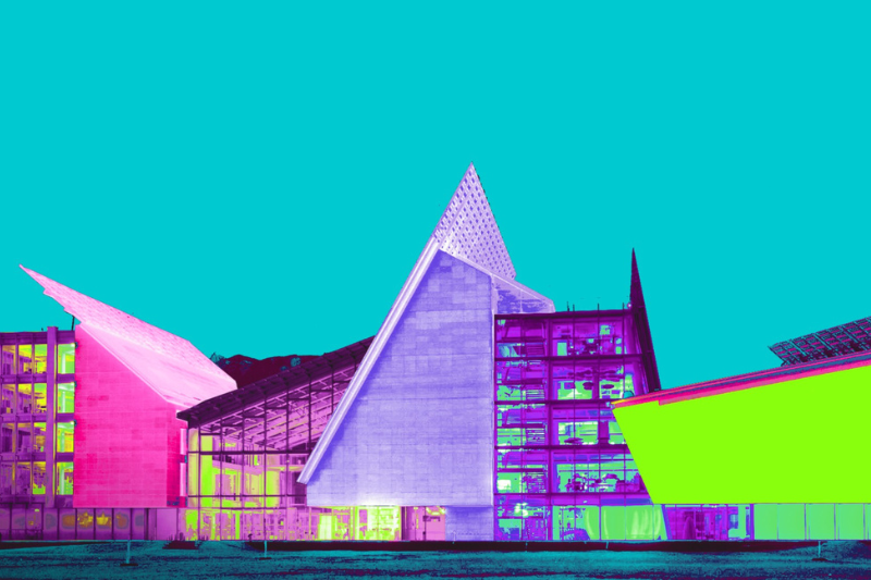 MUSE - Museo delle Scienze - MUSE Fuori orario - What about us ...